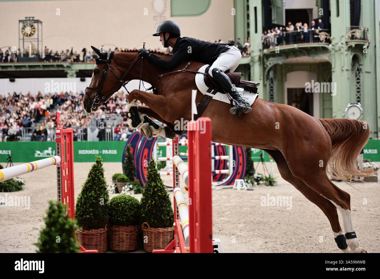 Gilles THOMAS of Belgium with Qalista Dn during the Prix Hermès Sellier ...