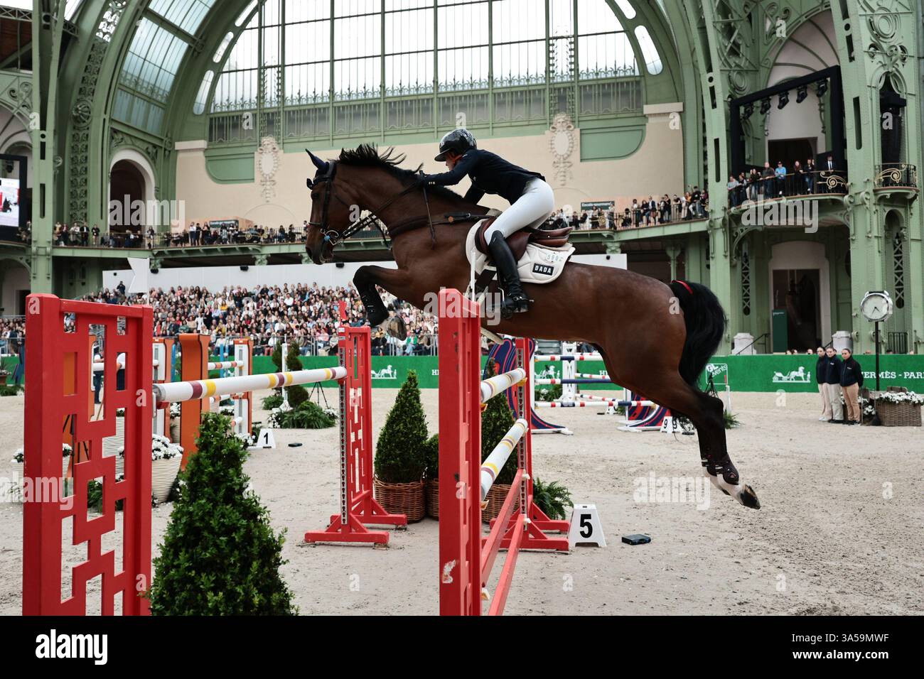 Jennifer HOCHSTAEDTER of Liechtenstein with Golden Lady during the Prix ...