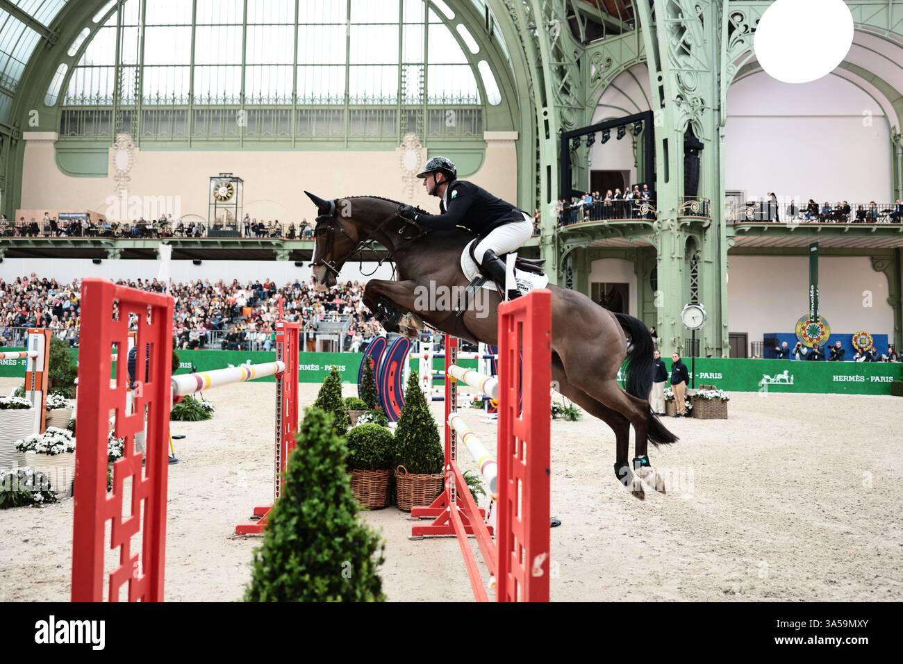 Koen VEREECKE of Belgium with Oilily De Muze during the Prix Hermès ...