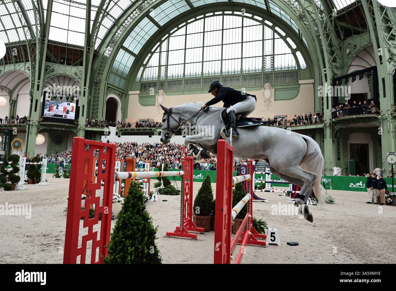Philippe ROZIER of France with Dirty Sweet during the Prix Hermès ...
