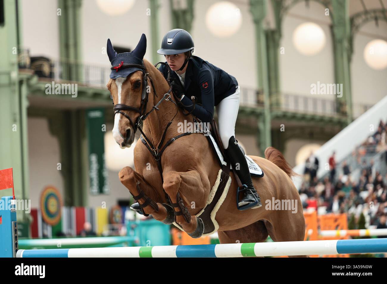 Cleran horses hi-res stock photography and images - Alamy