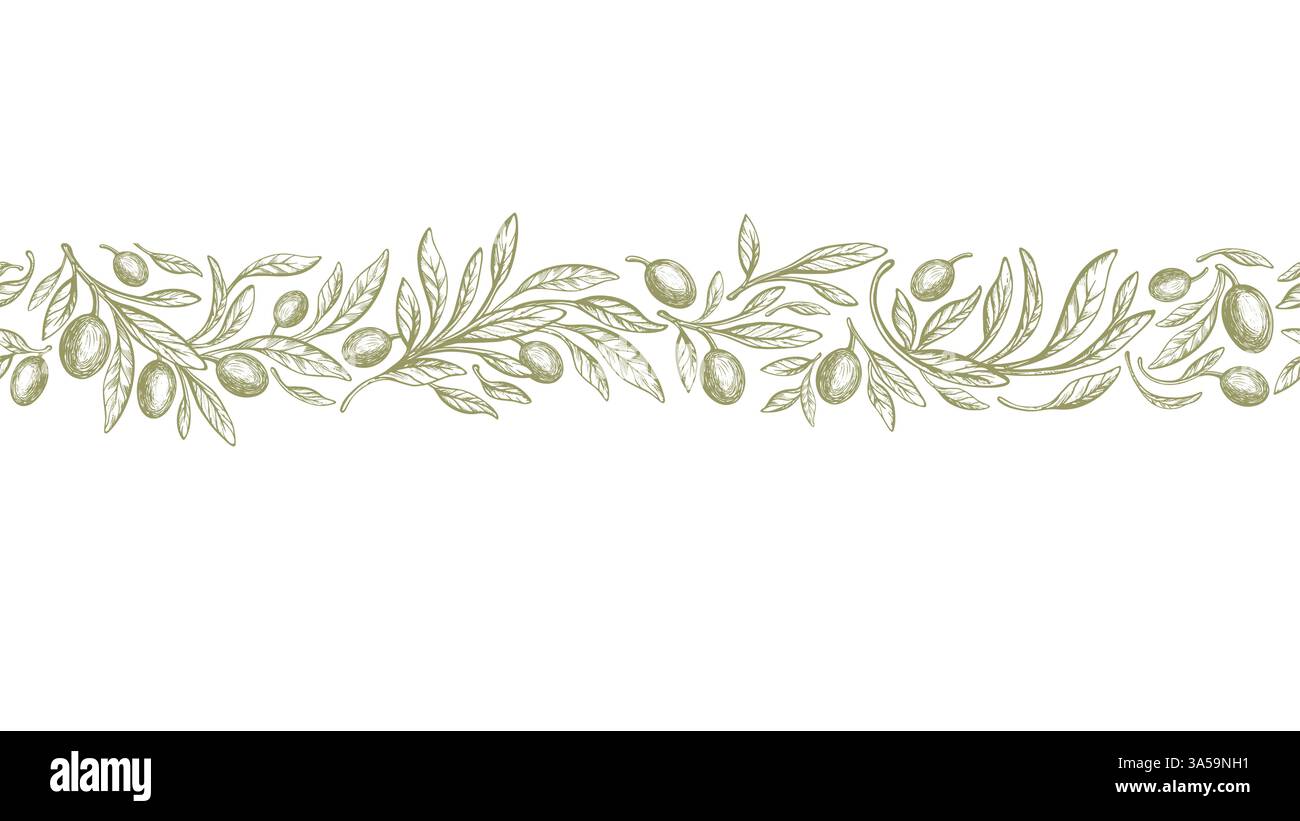 Olive border, rustic seamless pattern. Vector vintage band. Hand drawn ...