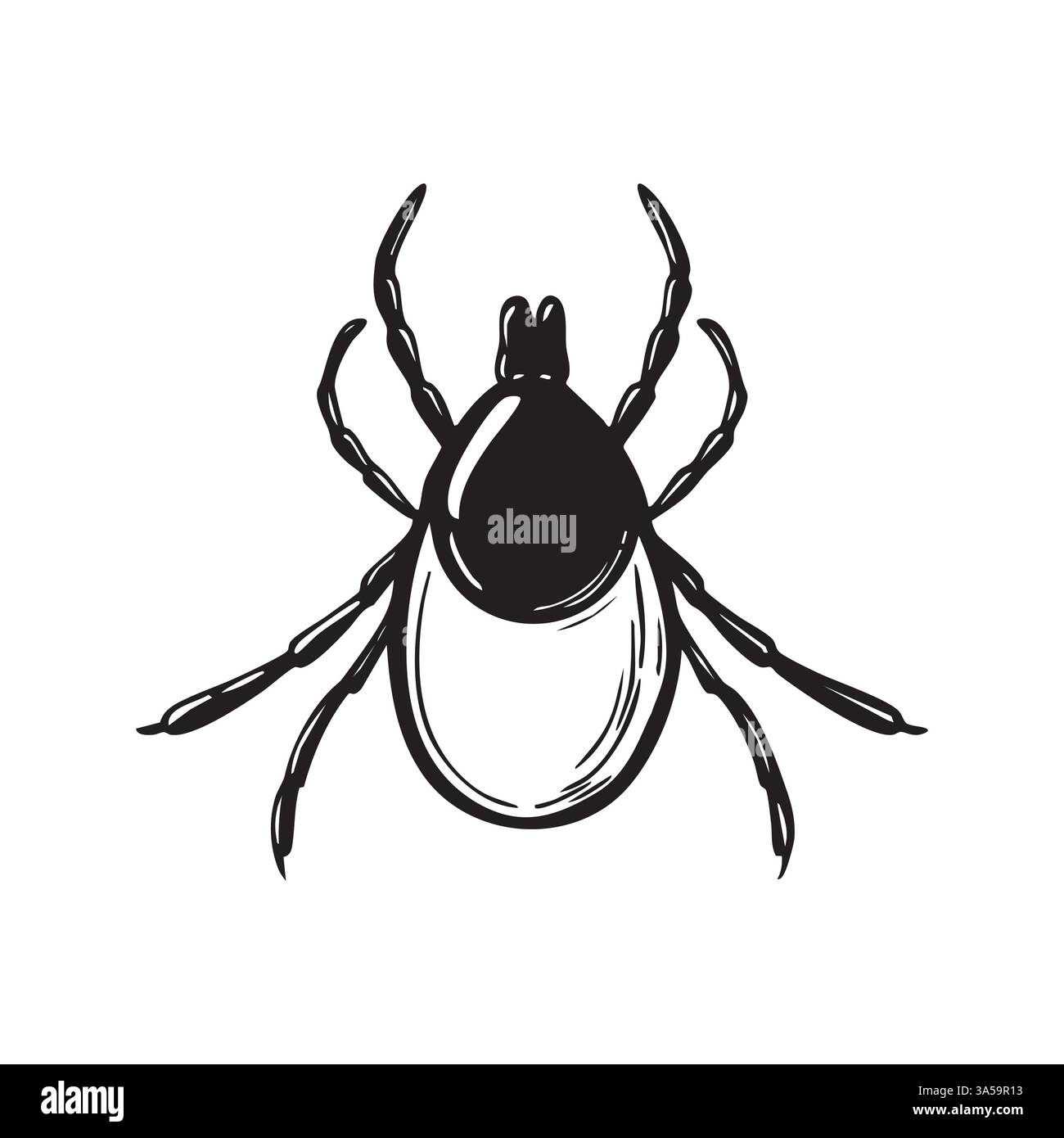 Lyme Tick vector illustration against a white background. Vector mite ...