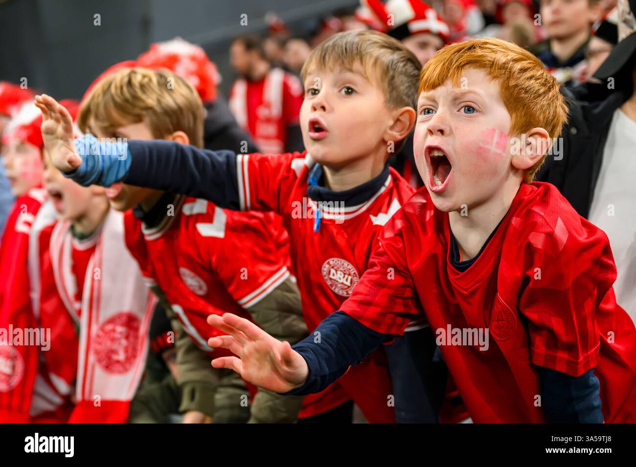 Unge danske fans. Nations League: Danmark mod Portugal - 20.03.2025 ...
