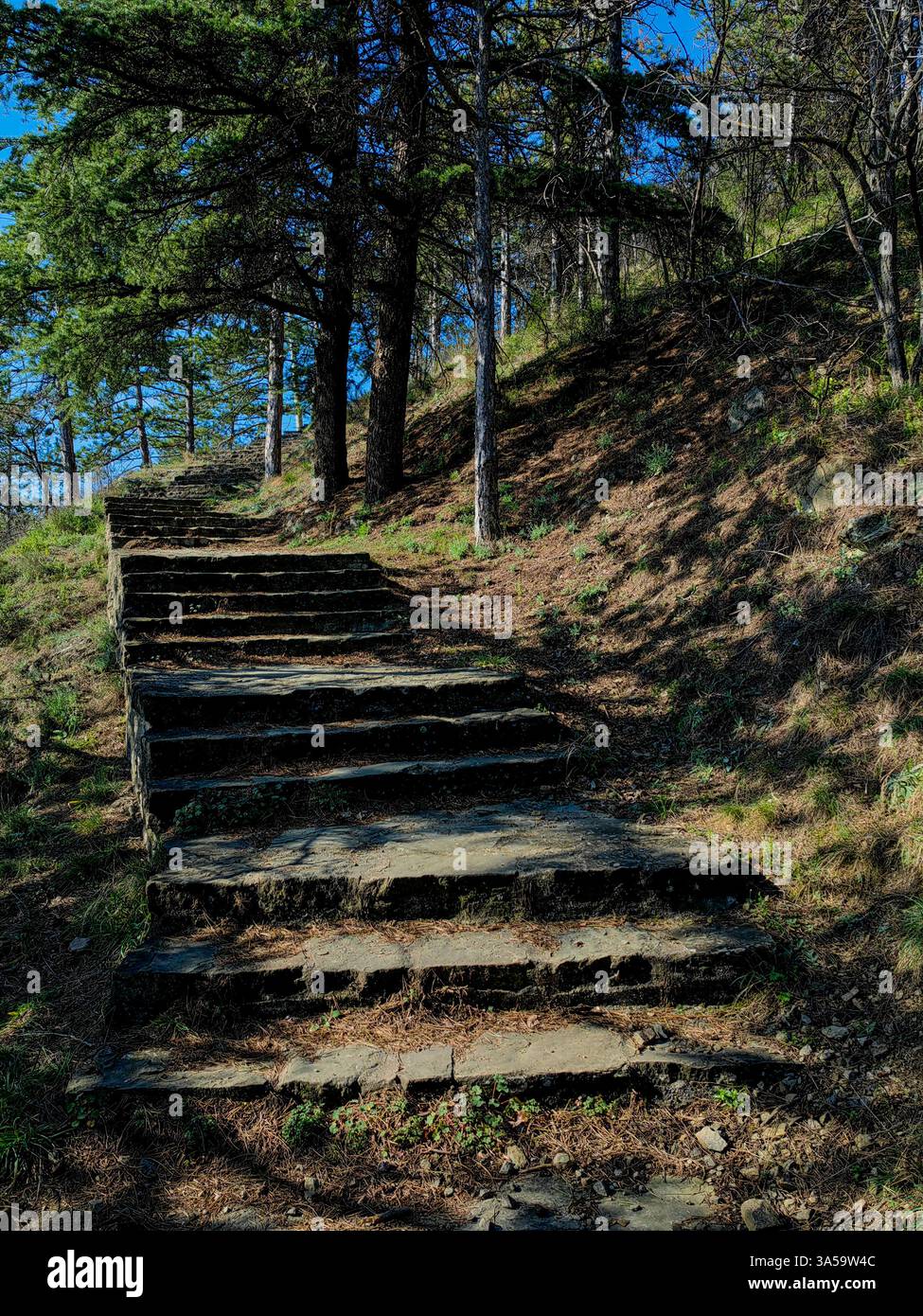 Awakening Spring – Concrete Staircase Framing Nature Stock Photo - Alamy