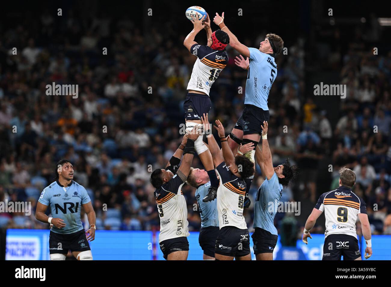 Sydney, Australia. 22nd Mar, 2025. Lachlan Shaw of the Brumbies beats ...