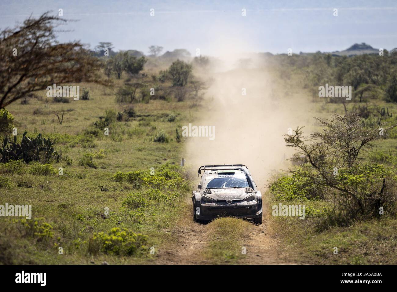33 Elfyn EVANS, Scott MARTIN, Toyota GR Yaris Rally1, action during the ...