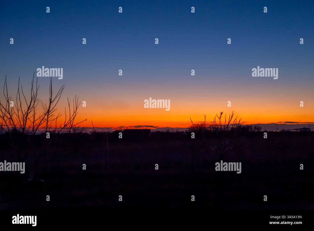 Night sky descends on rural field with tree branches in spring. End of ...