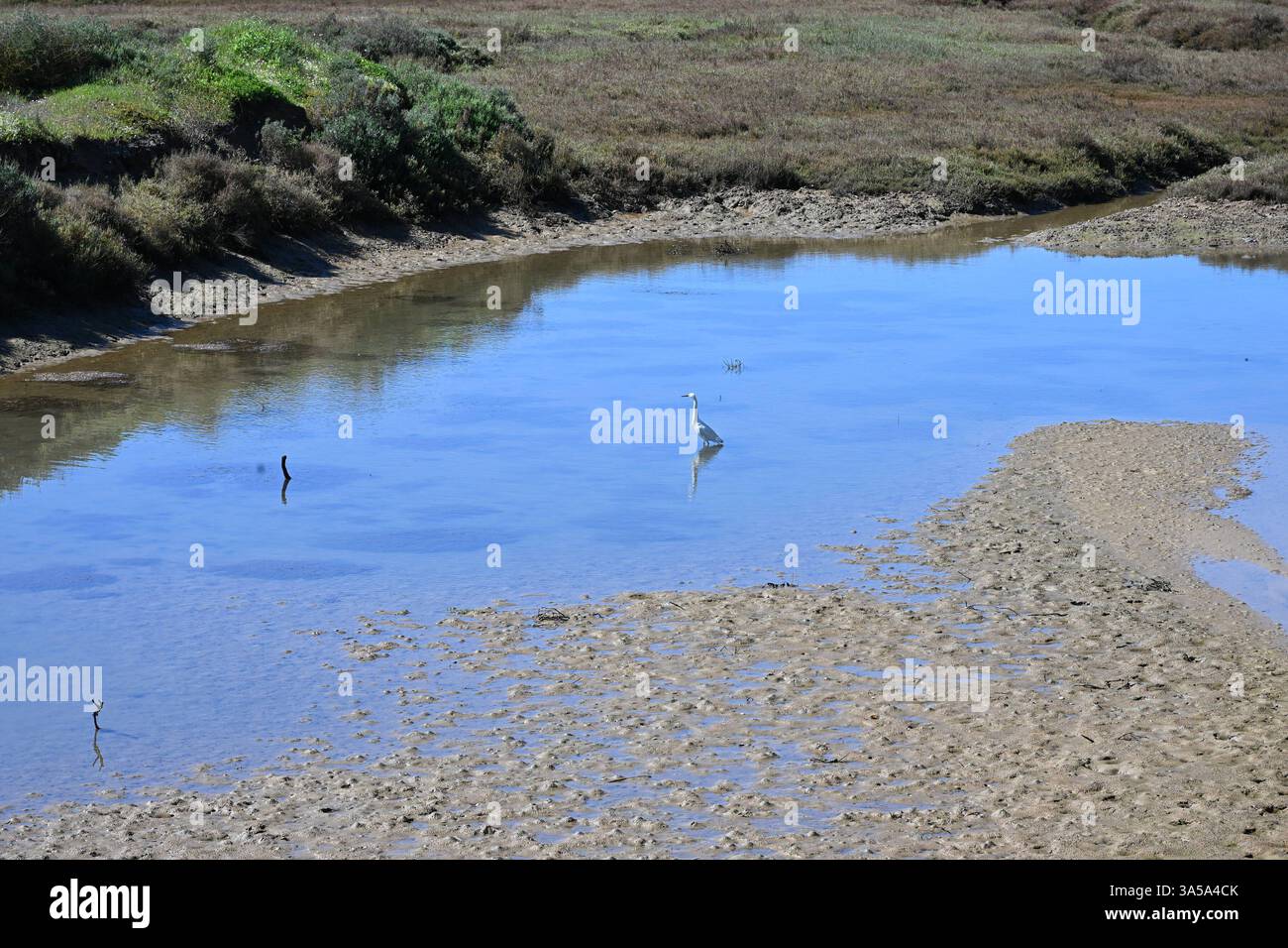Bild zeigt: Naturpark Ria Formosa zwischen Almancil und Faro, 06.03. ...