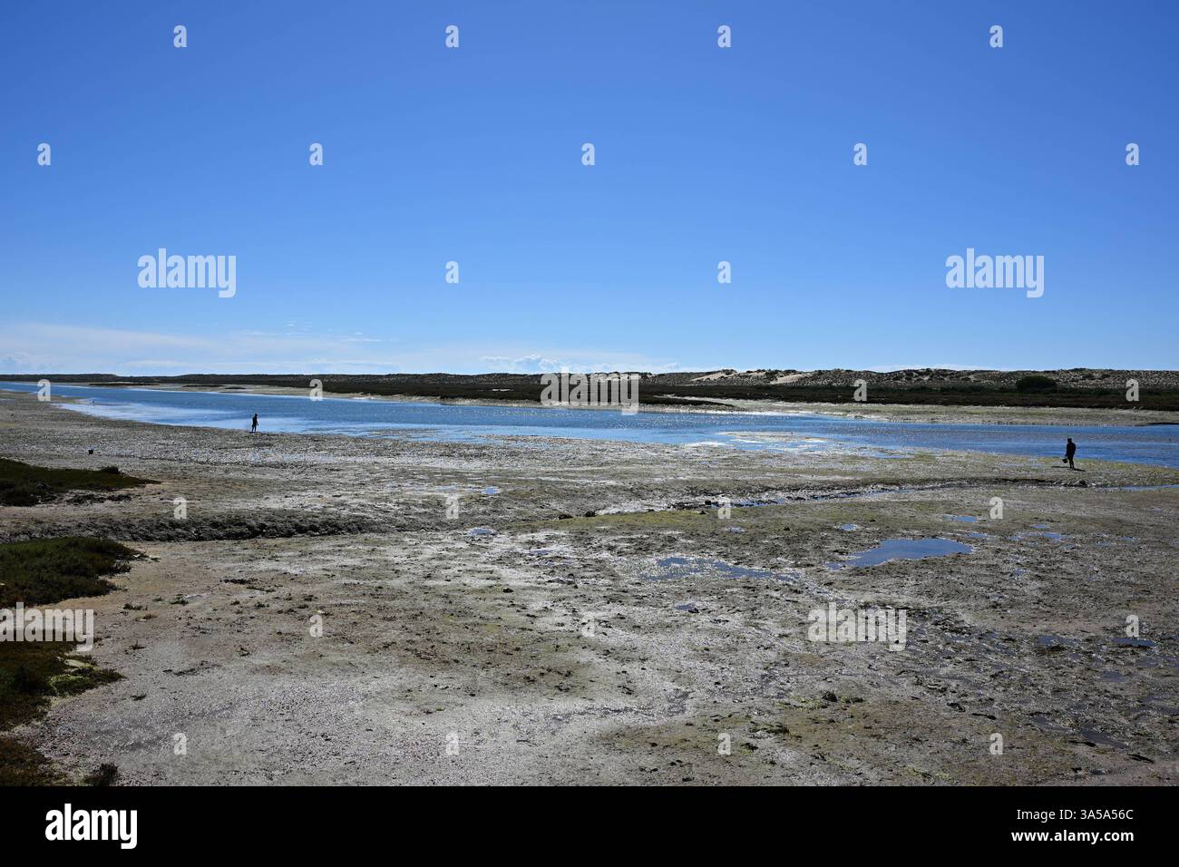 Bild zeigt: Naturpark Ria Formosa in Faro, Fischer sammeln Muscheln und ...