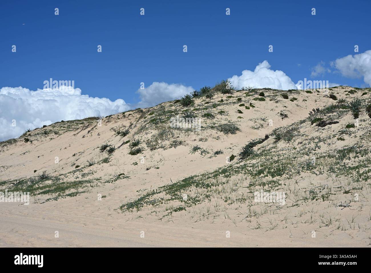 Bild zeigt: Naturpark Ria Formosa in Faro, Strand Quinta do Lago , Sand ...
