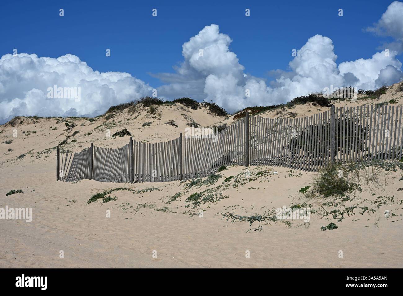 Bild zeigt: Naturpark Ria Formosa in Faro, Strand Quinta do Lago , Sand ...