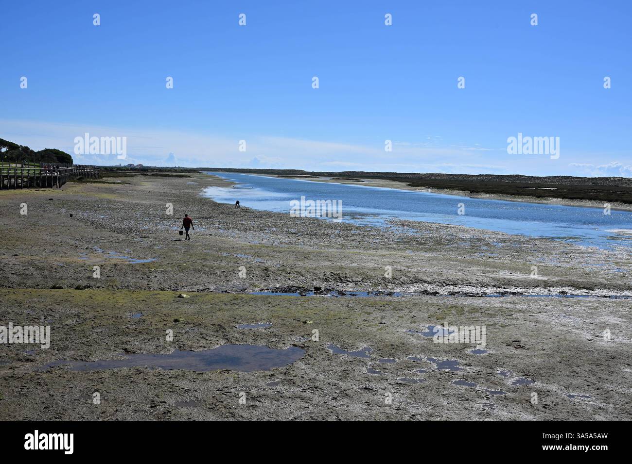 Bild zeigt: Naturpark Ria Formosa in Faro, Fischer sammeln Muscheln und ...