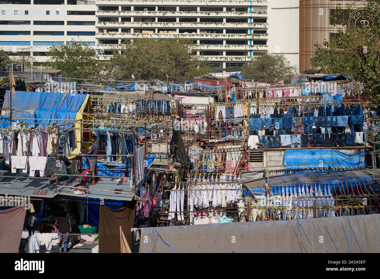 Dhobi Ghat is an open air laundry, Mahalaxmi Dhobi Ghat, Mumbai, Bombay ...