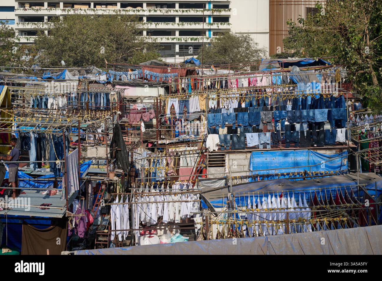Dhobi Ghat is an open air laundry, Mahalaxmi Dhobi Ghat, Mumbai, Bombay ...