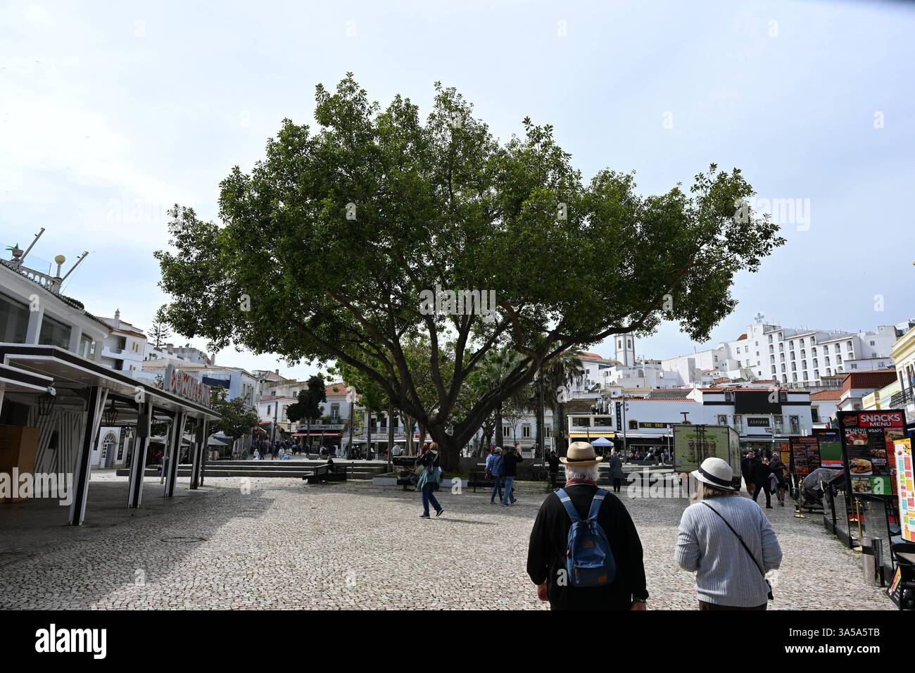 Bild zeigt: Altstadt von Albufeira, Old Town Square, Baum, 07.03.2025 ...