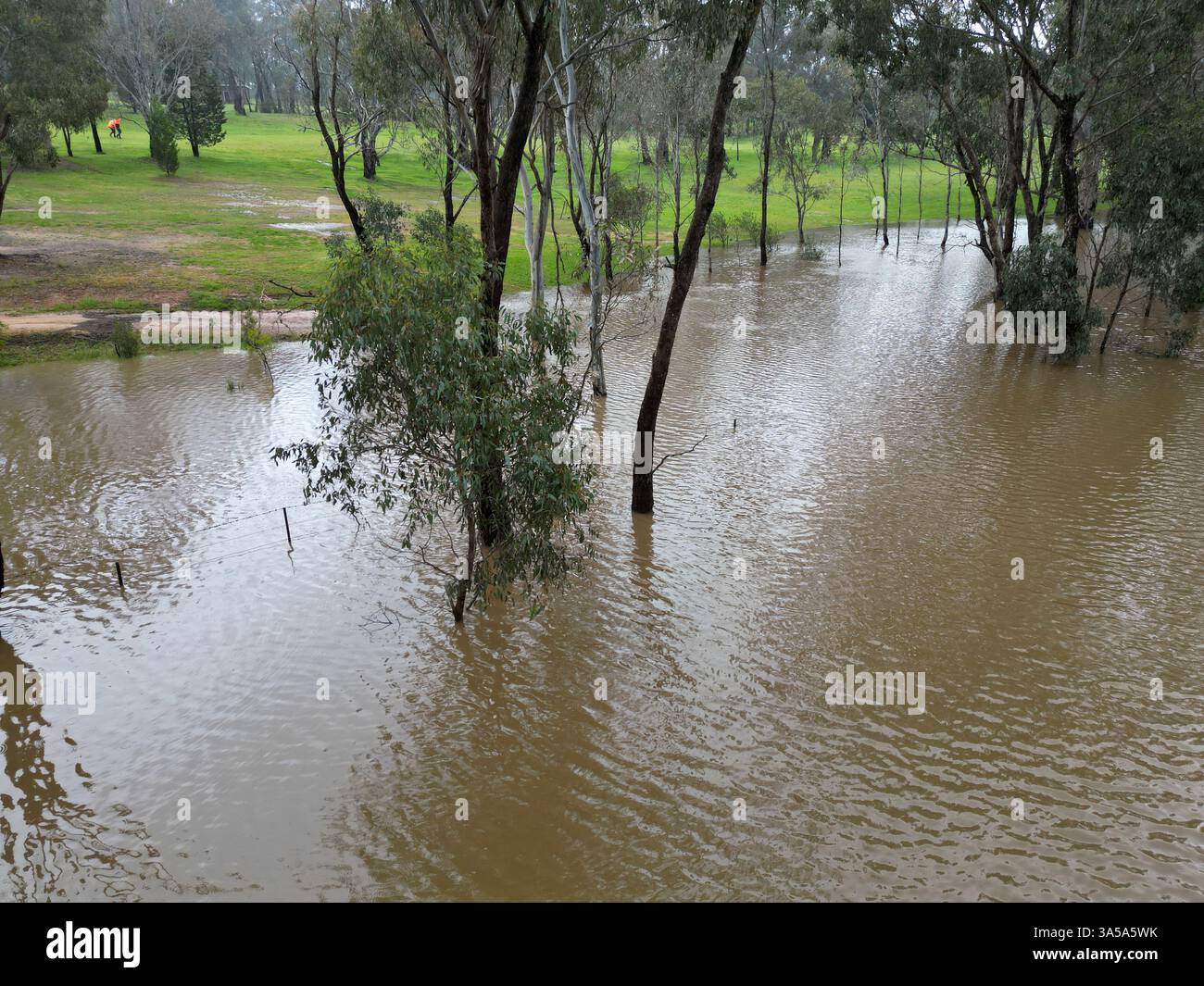 Mcivor highway hi-res stock photography and images - Alamy
