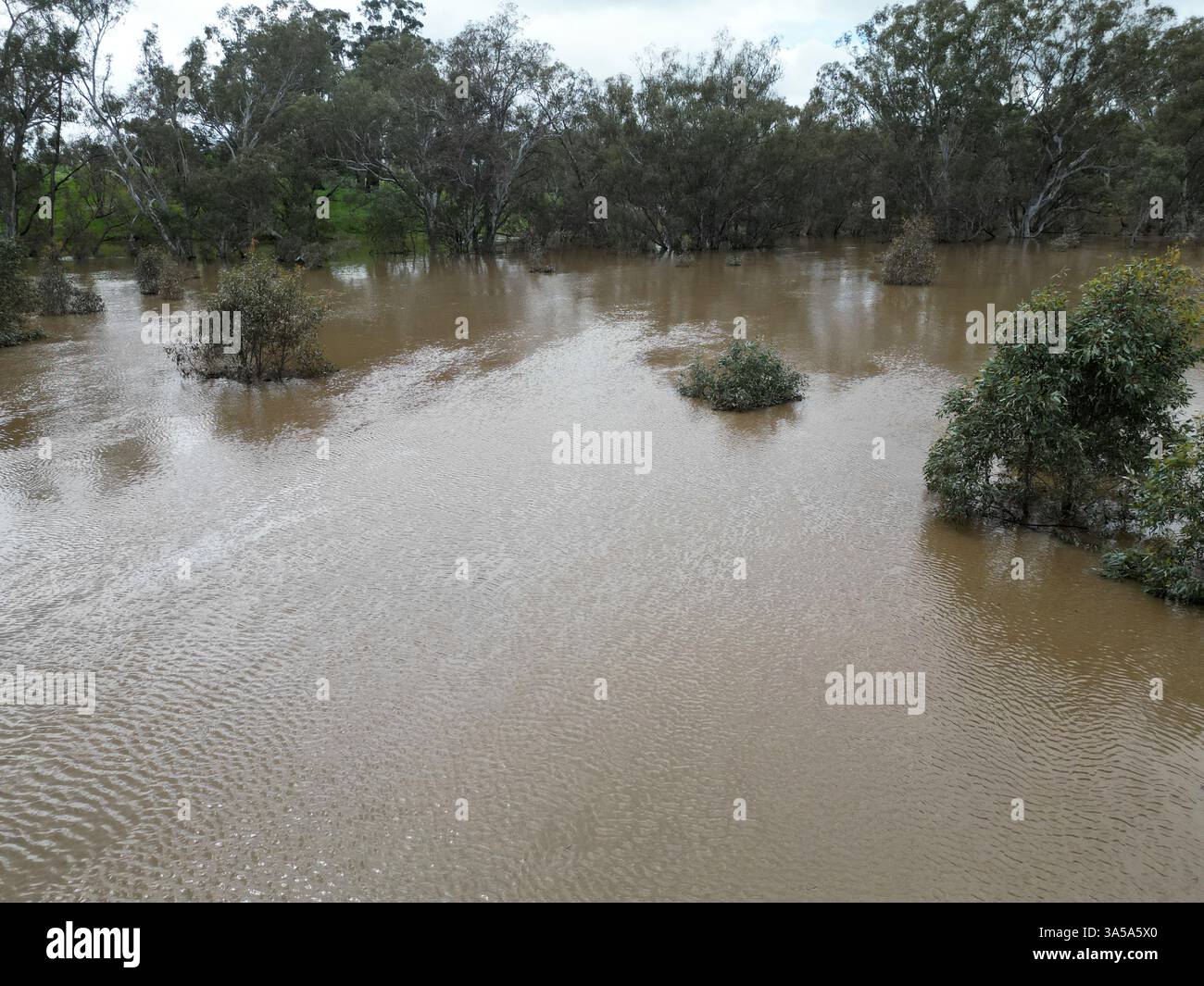 Flooding Axedale village, Campaspe River burst its banks near Bendigo after heavy spring rain ...