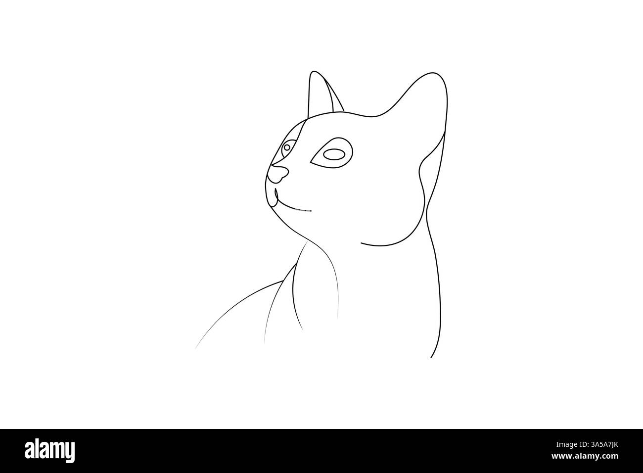 Cat line drawing Cut Out Stock Images & Pictures - Alamy