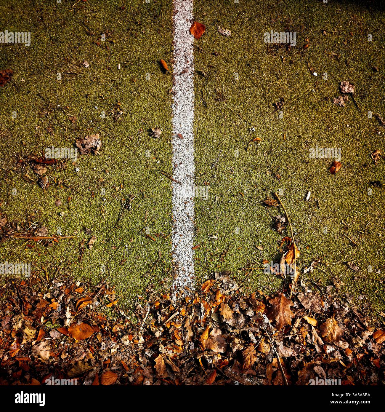 White line texture smartphone stock photos and images - Alamy