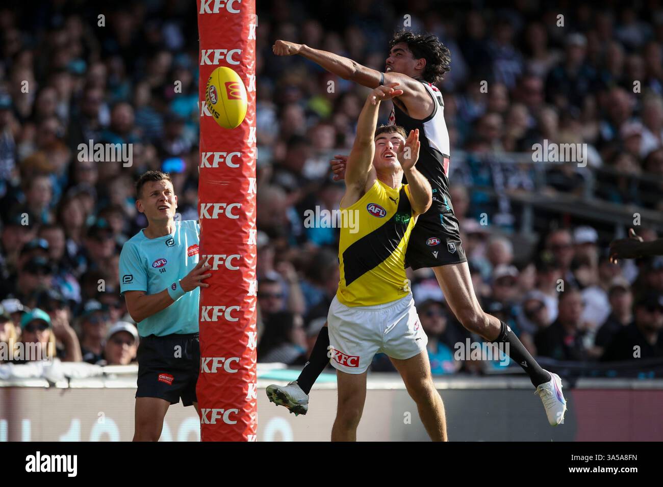 Adelaide, Australia. 22nd Mar, 2025. Jase Burgoyne of the Power clashes ...