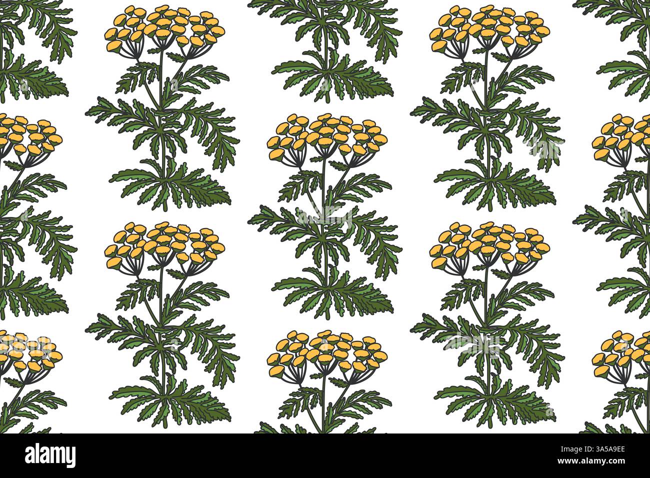 Botanical plant seamless pattern with yellow flowers vector ...