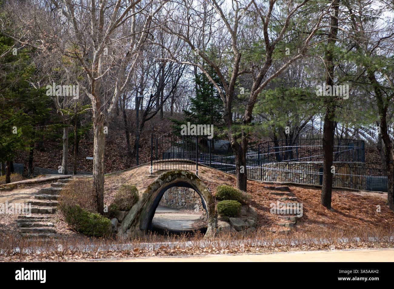 A tunnel hill, resembling a cave. Surrounded by trees, bushes, and ...
