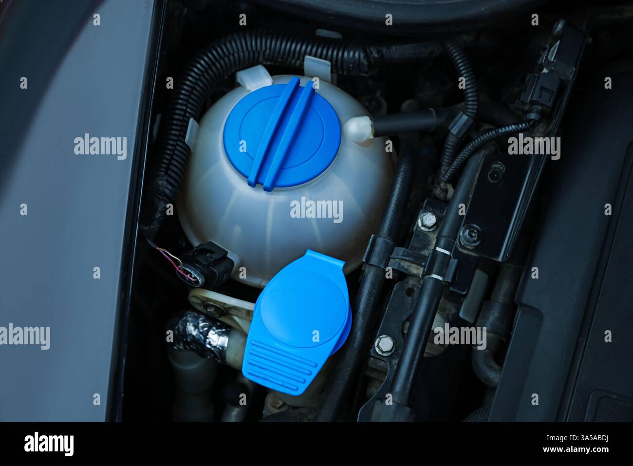 Windshield washer and coolant reservoirs in engine compartment, above ...