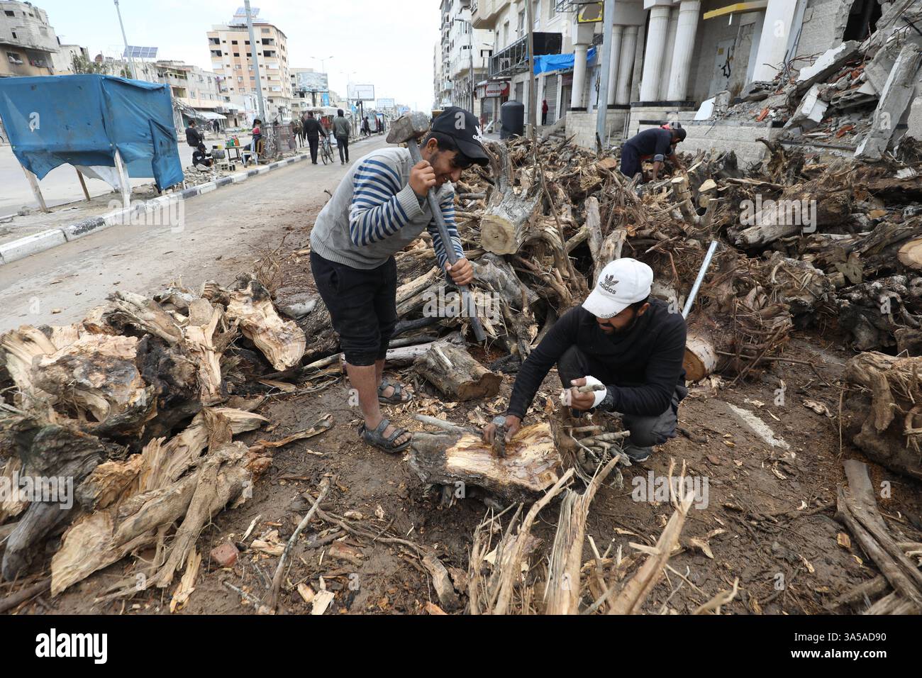 Palestinians chops wood as Palestinians start to use wood instead of ...