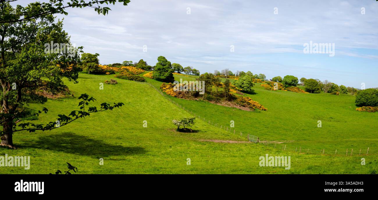 Pan green lush farmland in hi-res stock photography and images - Alamy