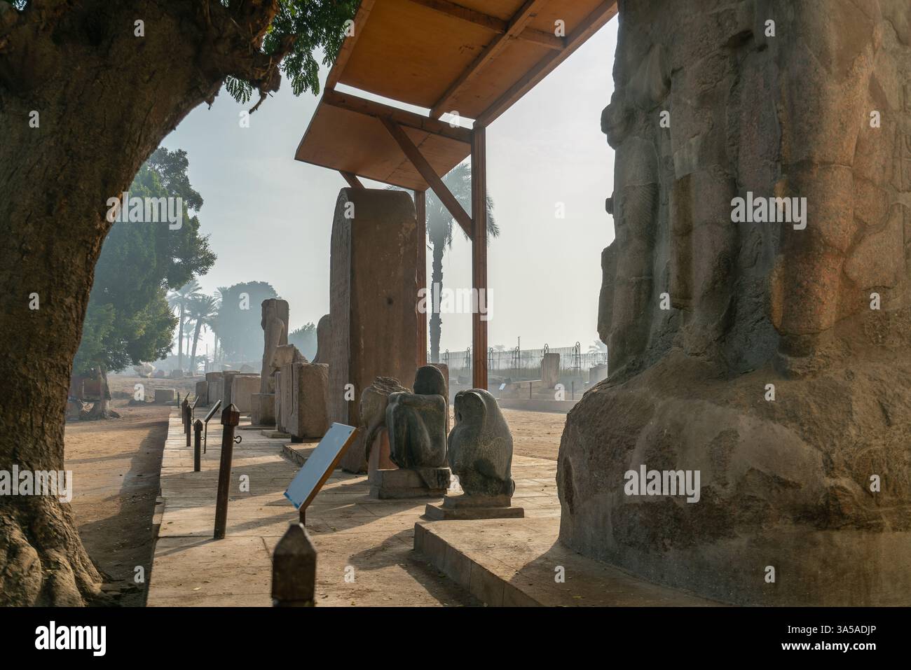 Memphis Museum, Egypt - January 14, 2025: A collection of ancient ...