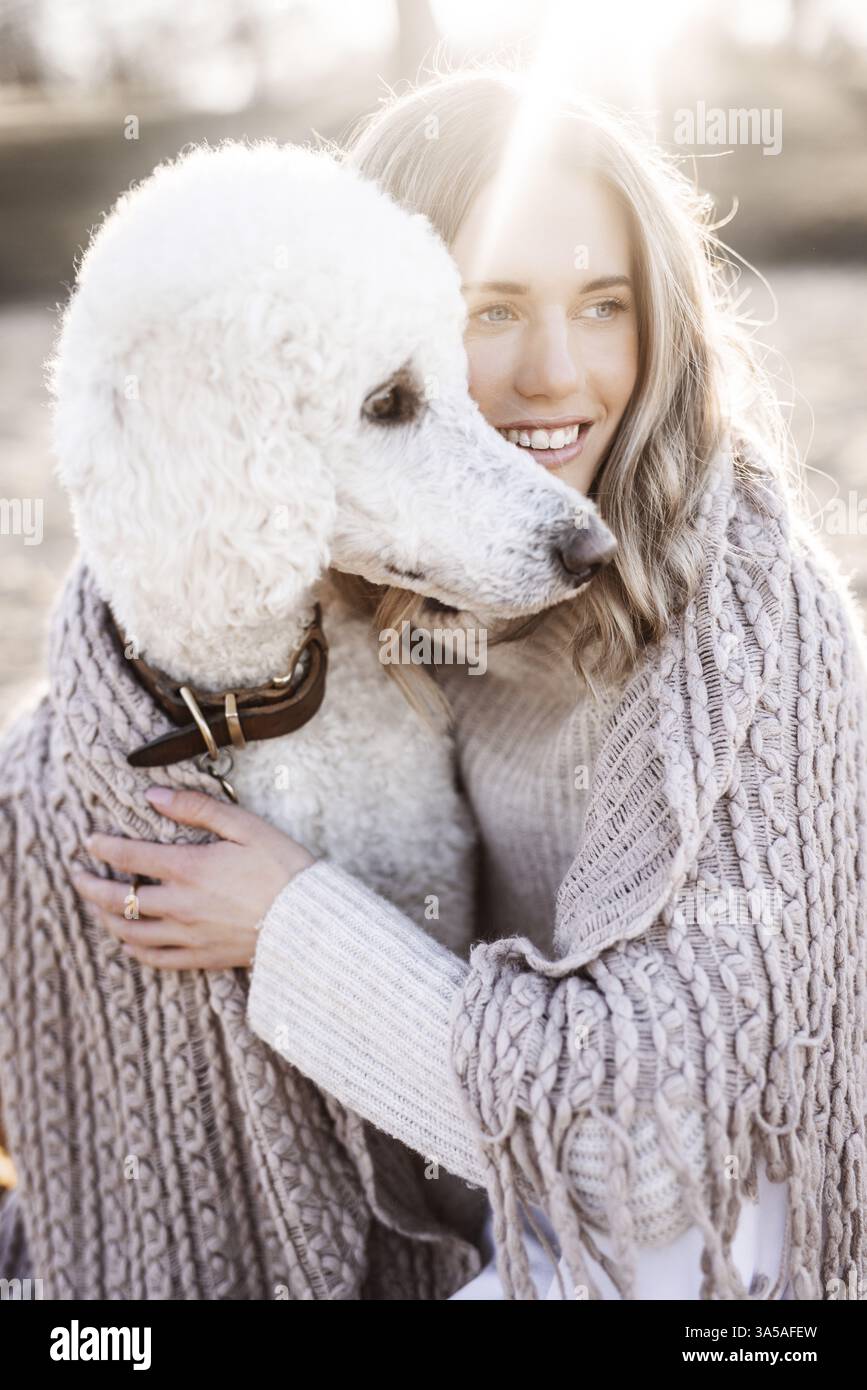 male Giant Poodle Stock Photo - Alamy