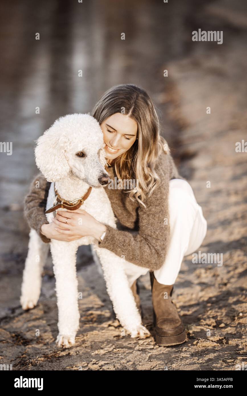 male Giant Poodle Stock Photo - Alamy