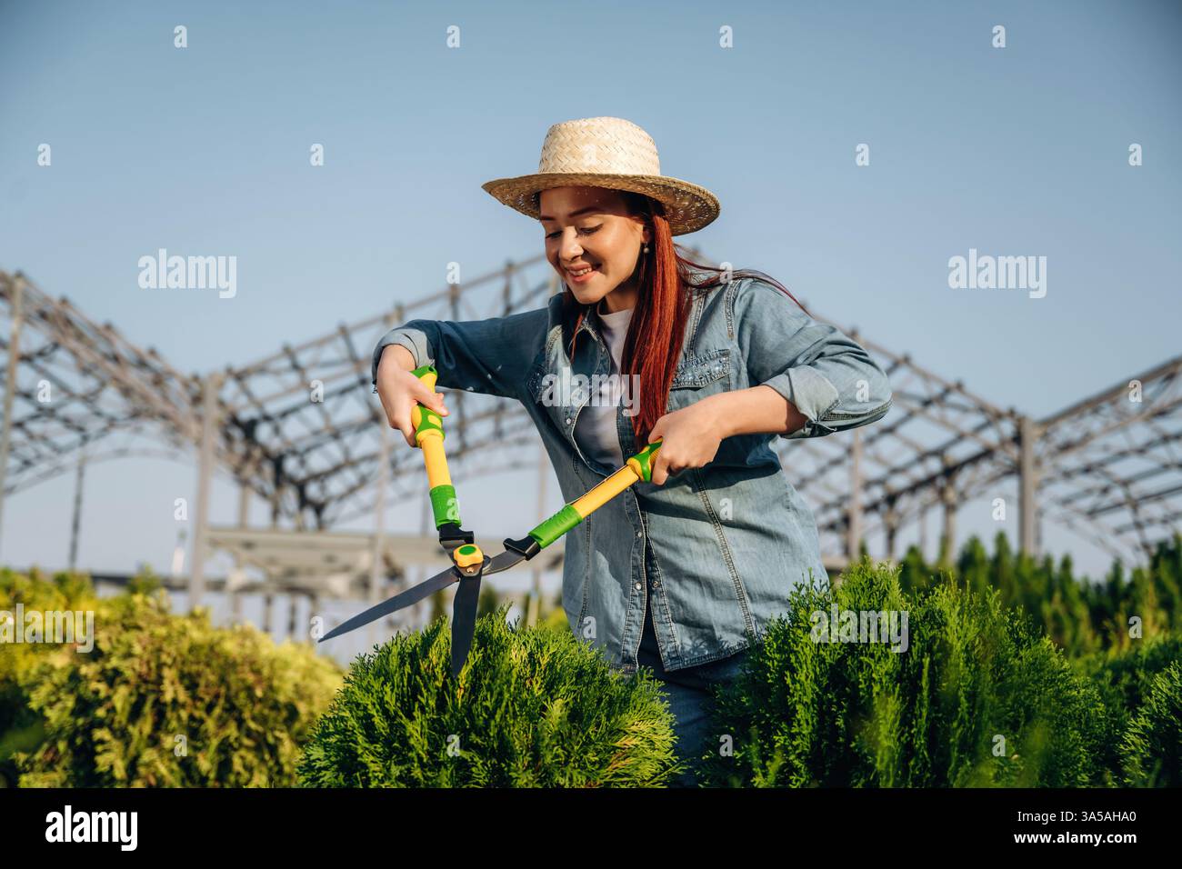 Process of cutting the bush with using scissors. Young redhead woman is ...