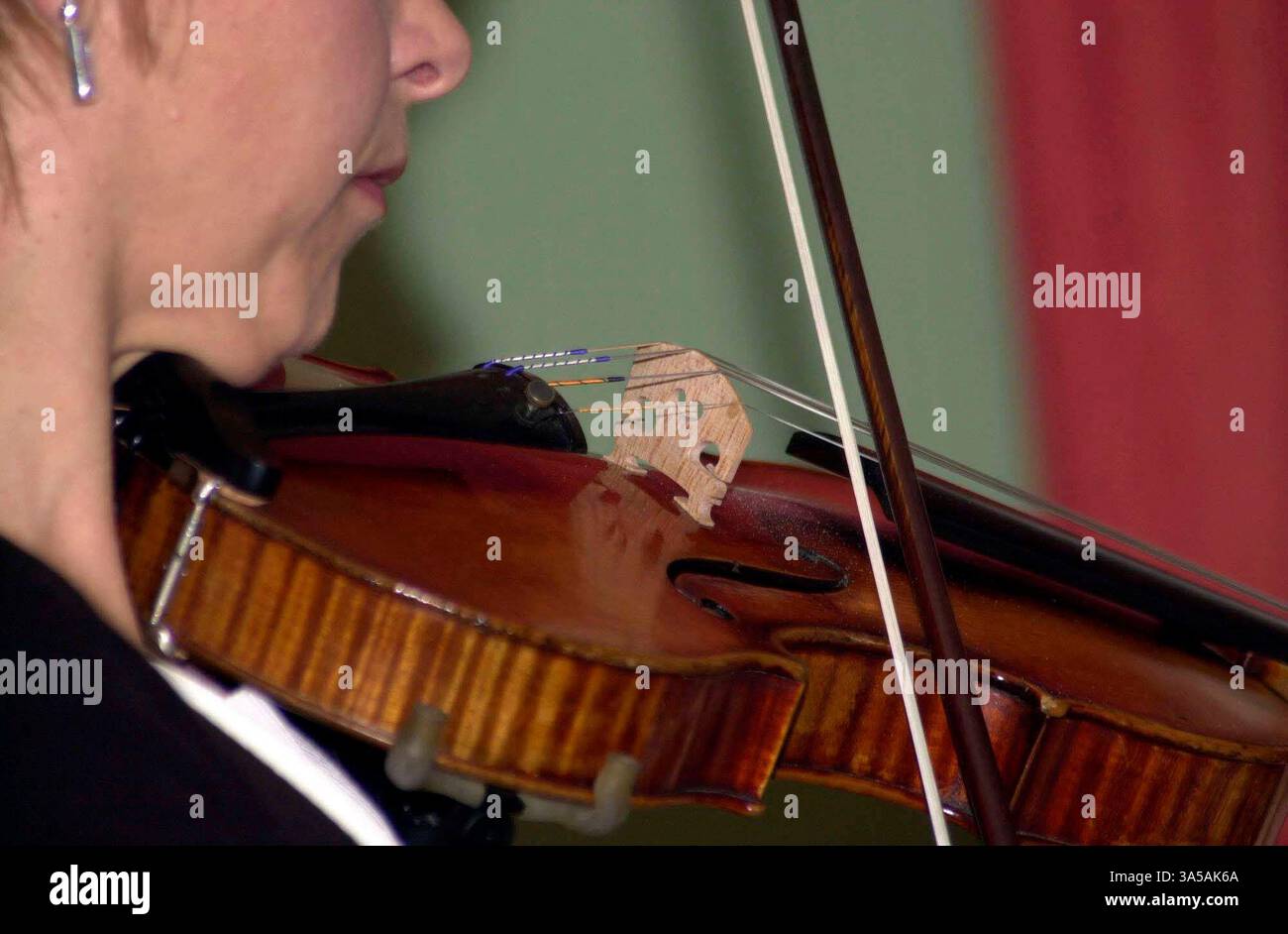 a violin, a wooden string instrument played with a bow violin, a wooden ...