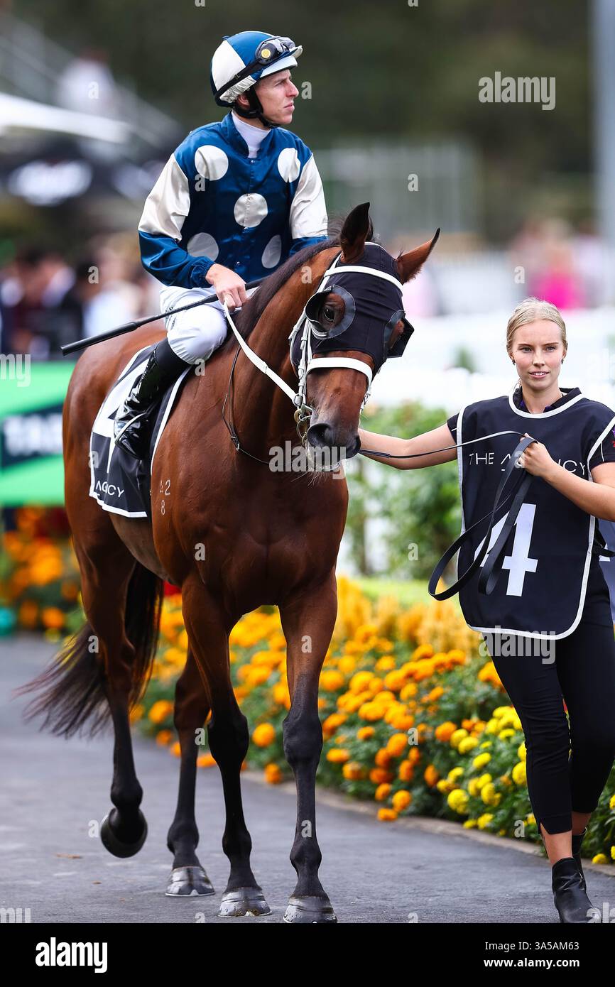 22nd March 2025; Rosehill Gardens Racecourse, Rosehill, Sydney ...