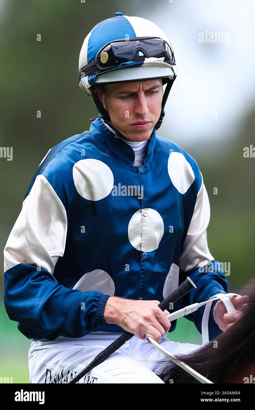 22nd March 2025; Rosehill Gardens Racecourse, Rosehill, Sydney ...