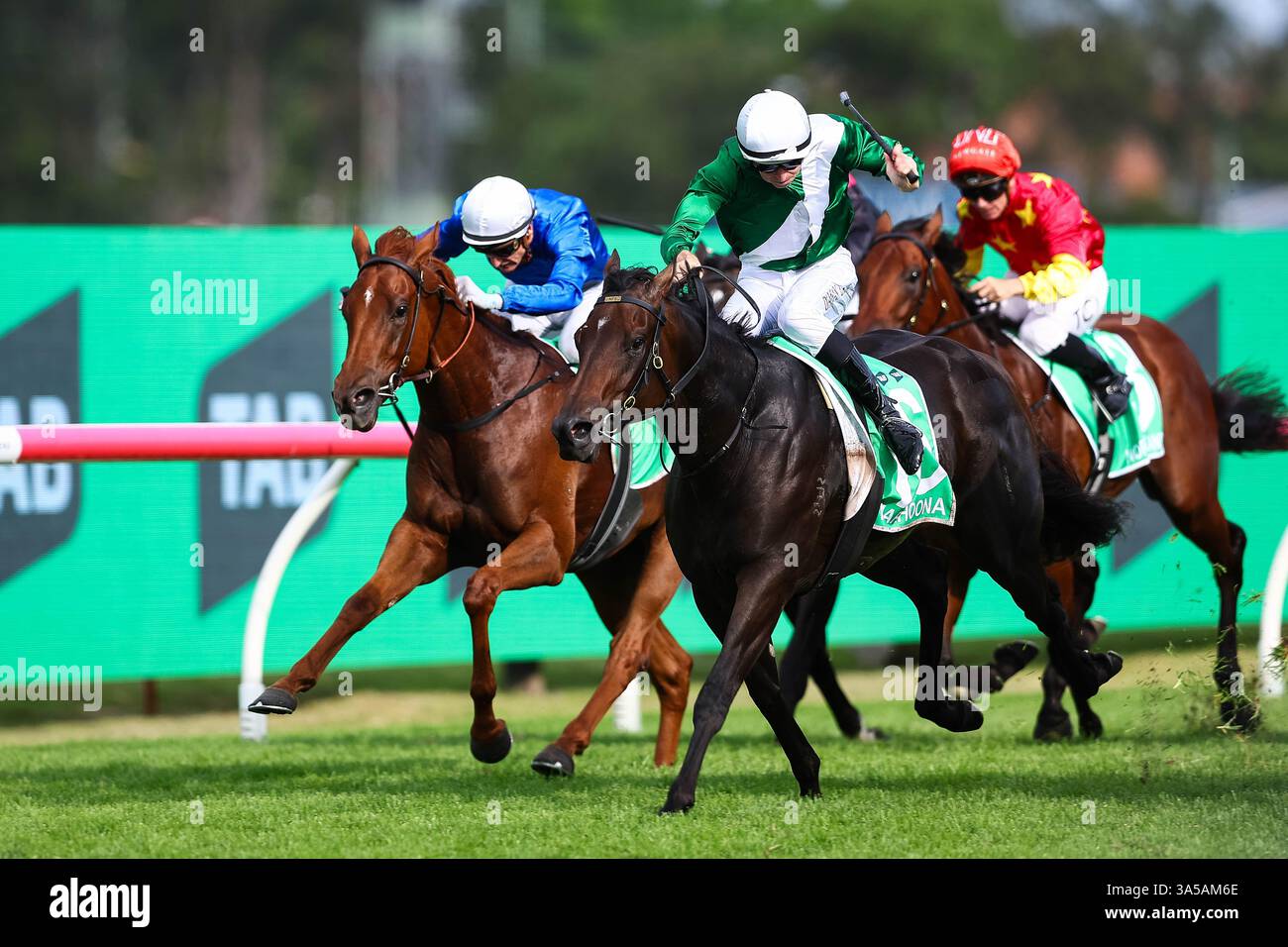 22nd March 2025; Rosehill Gardens Racecourse, Rosehill, Sydney ...