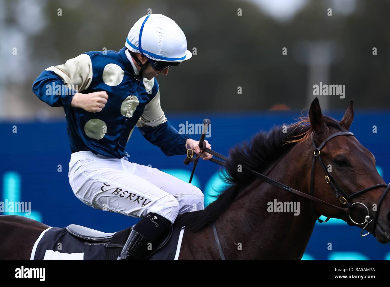 22nd March 2025; Rosehill Gardens Racecourse, Rosehill, Sydney ...
