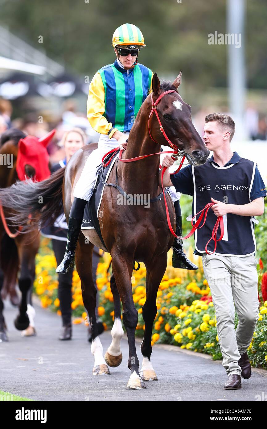 22nd March 2025; Rosehill Gardens Racecourse, Rosehill, Sydney ...