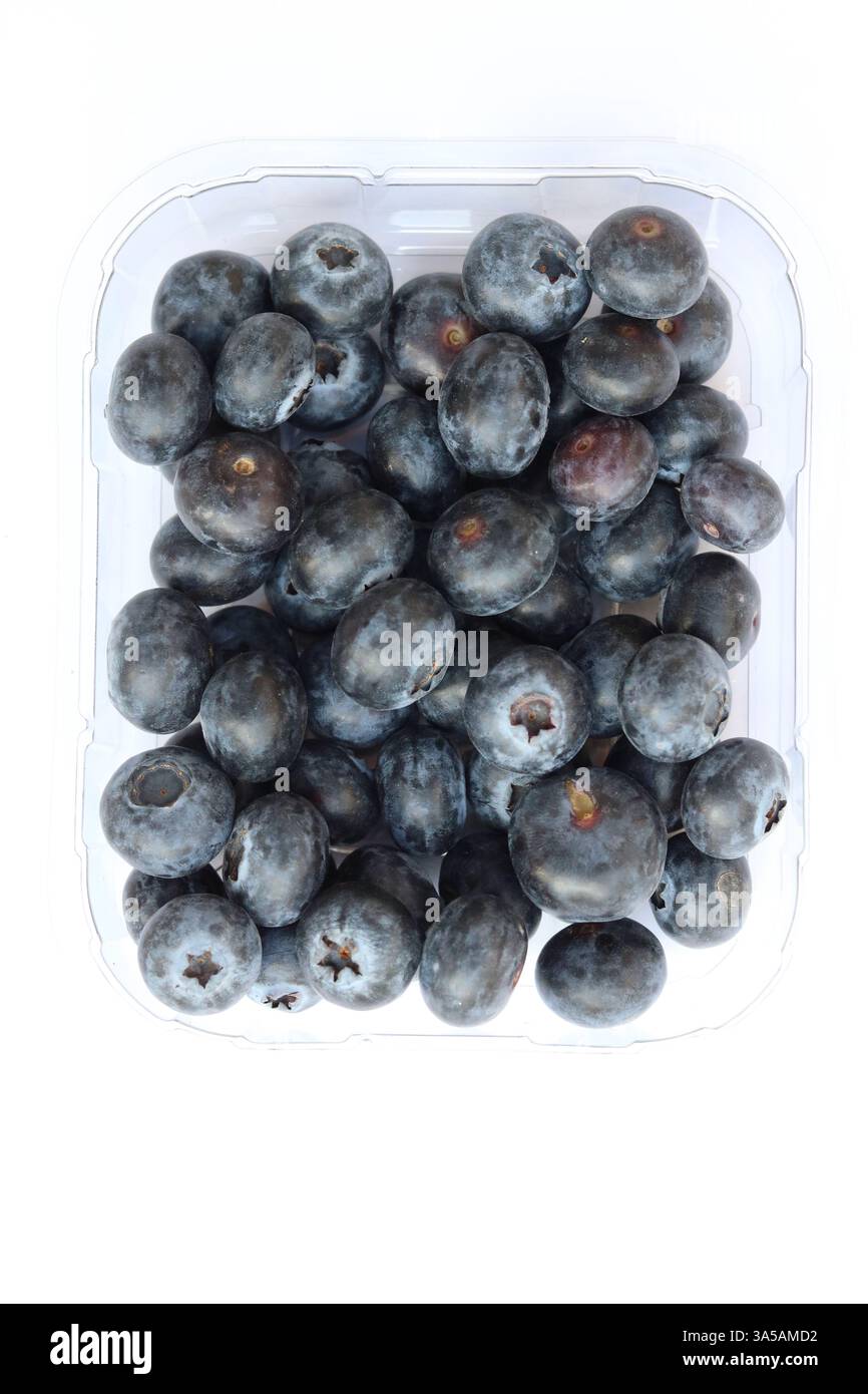 Plastic punnet full of lush blueberries against plain white background ...