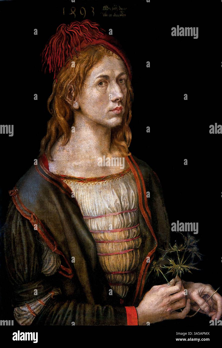 Self Portrait, Albrecht DURER 1471-1528 self portrait as young man holding plant eryngium ...