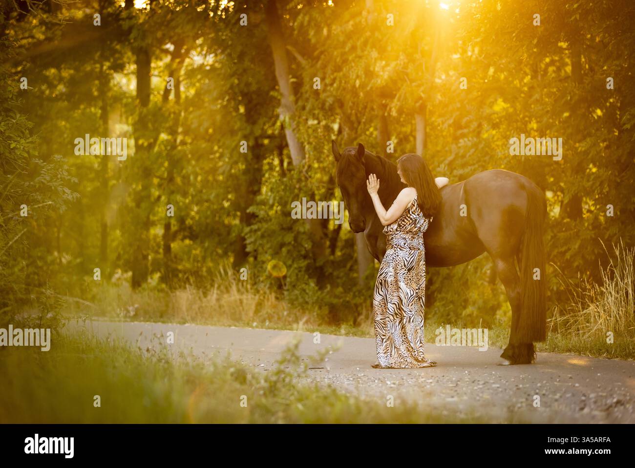 young woman with friesian mare Stock Photo - Alamy
