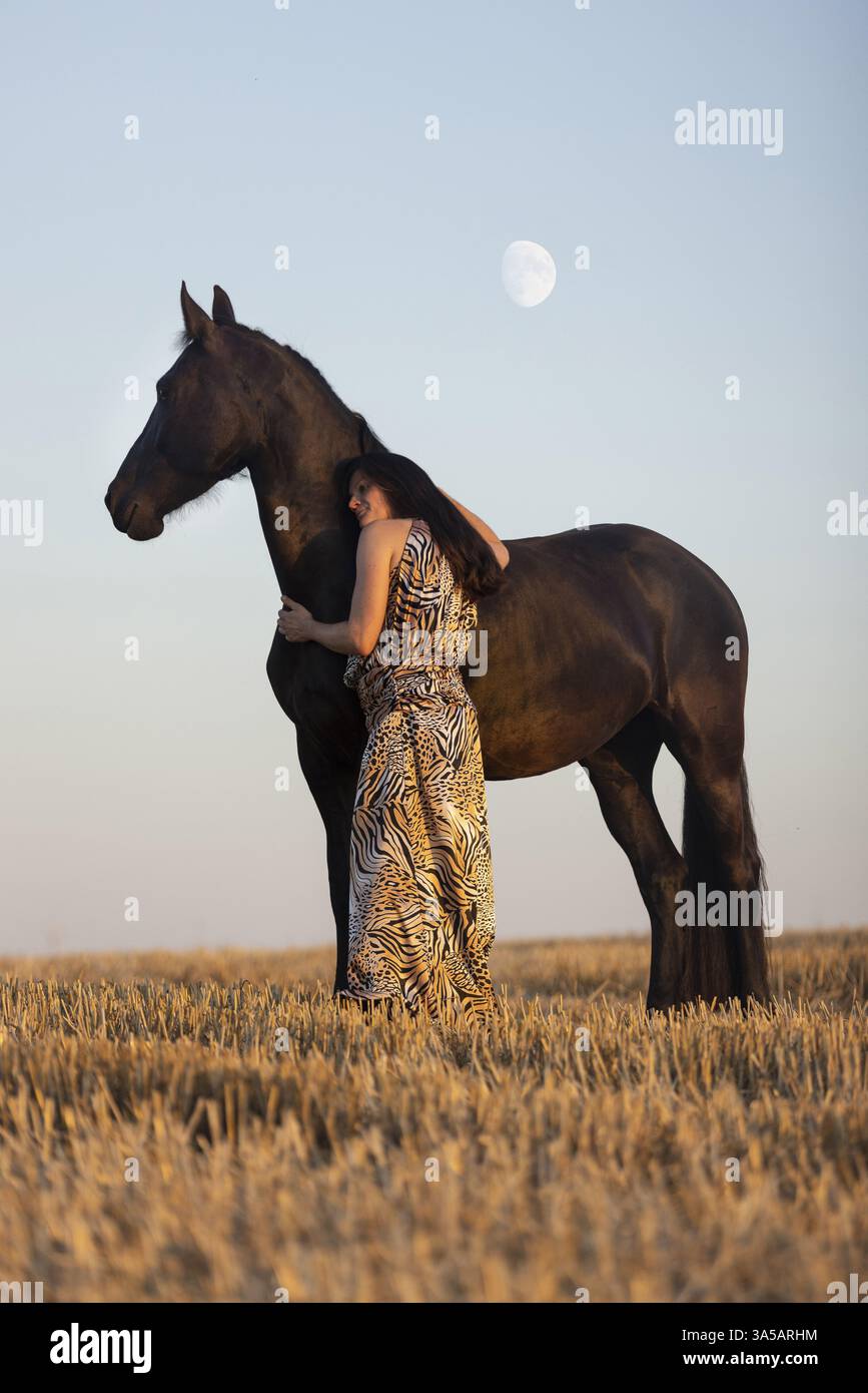 young woman with friesian mare Stock Photo - Alamy