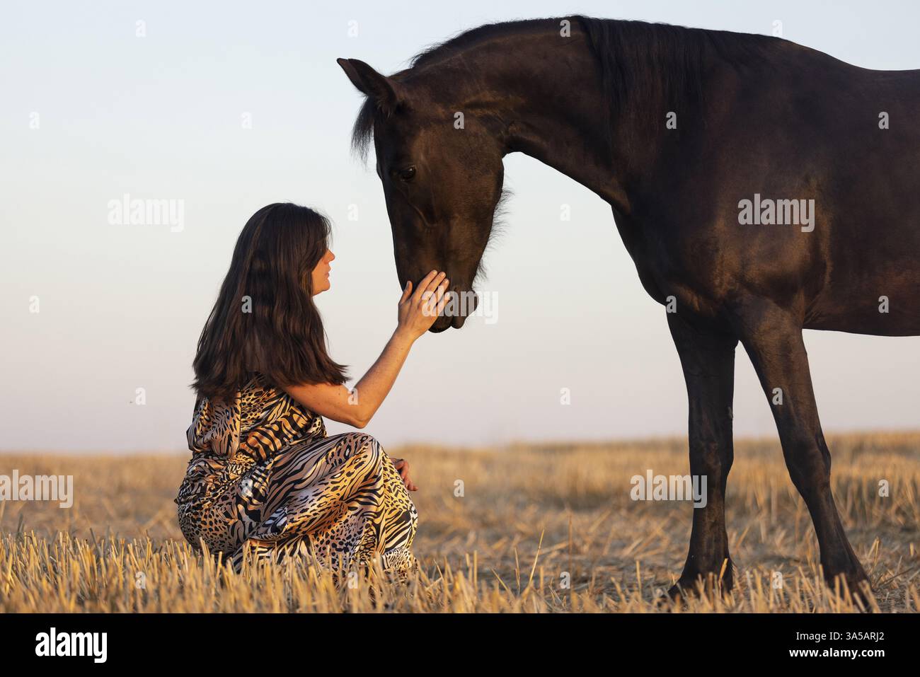 young woman with friesian mare Stock Photo - Alamy