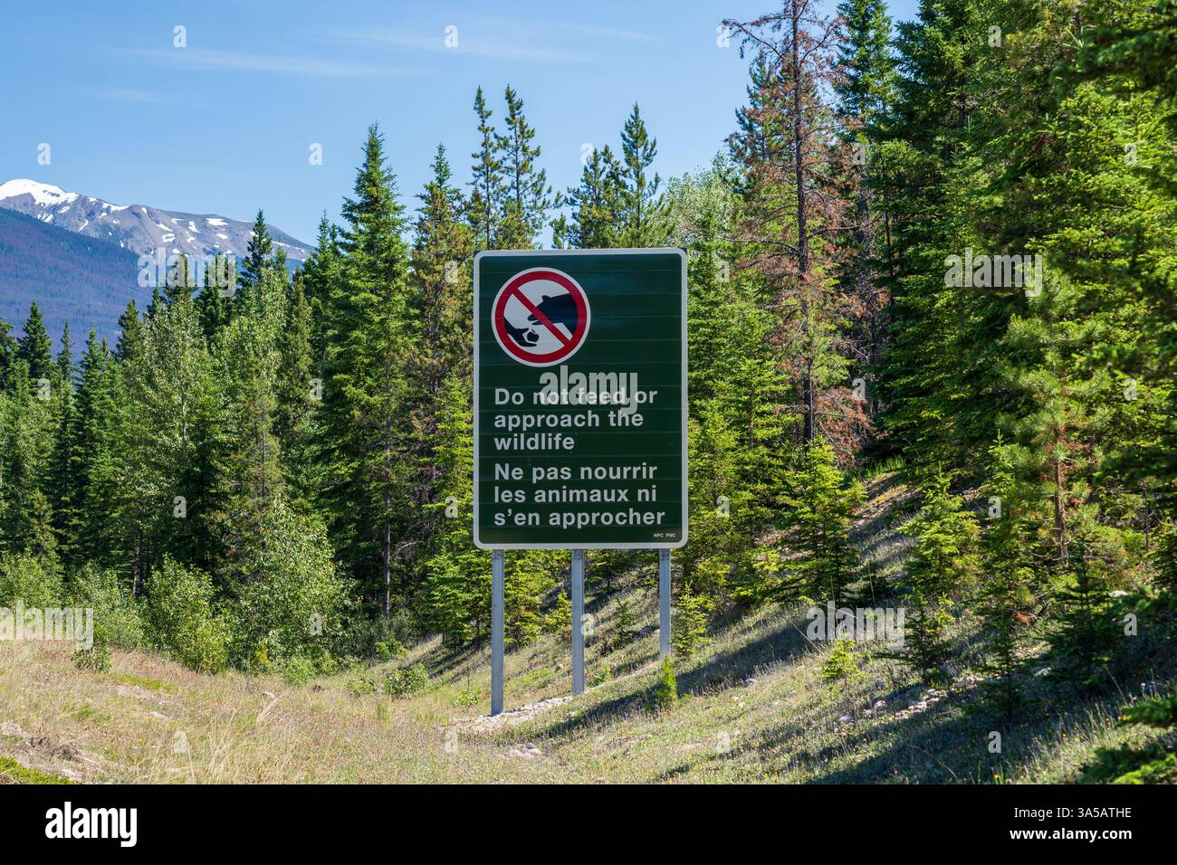 Wildlife feeding guidelines hi-res stock photography and images - Alamy