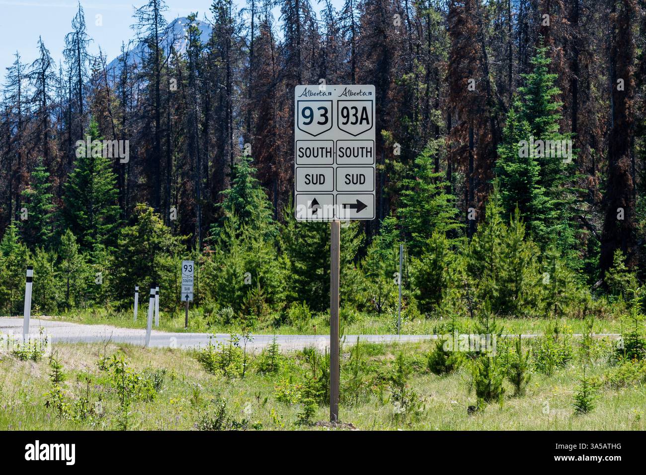 Alberta Highway 93 and 93A Road Sign. Jasper National Park, Alberta ...