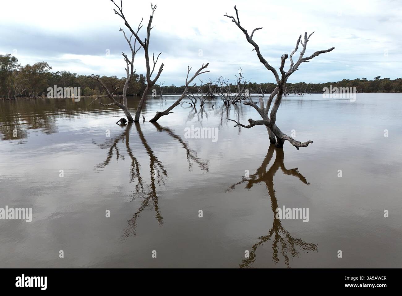 Lake Eppalock dam flooding into the Campaspe River after extreme heavy rain 2024 Stock Photo - Alamy