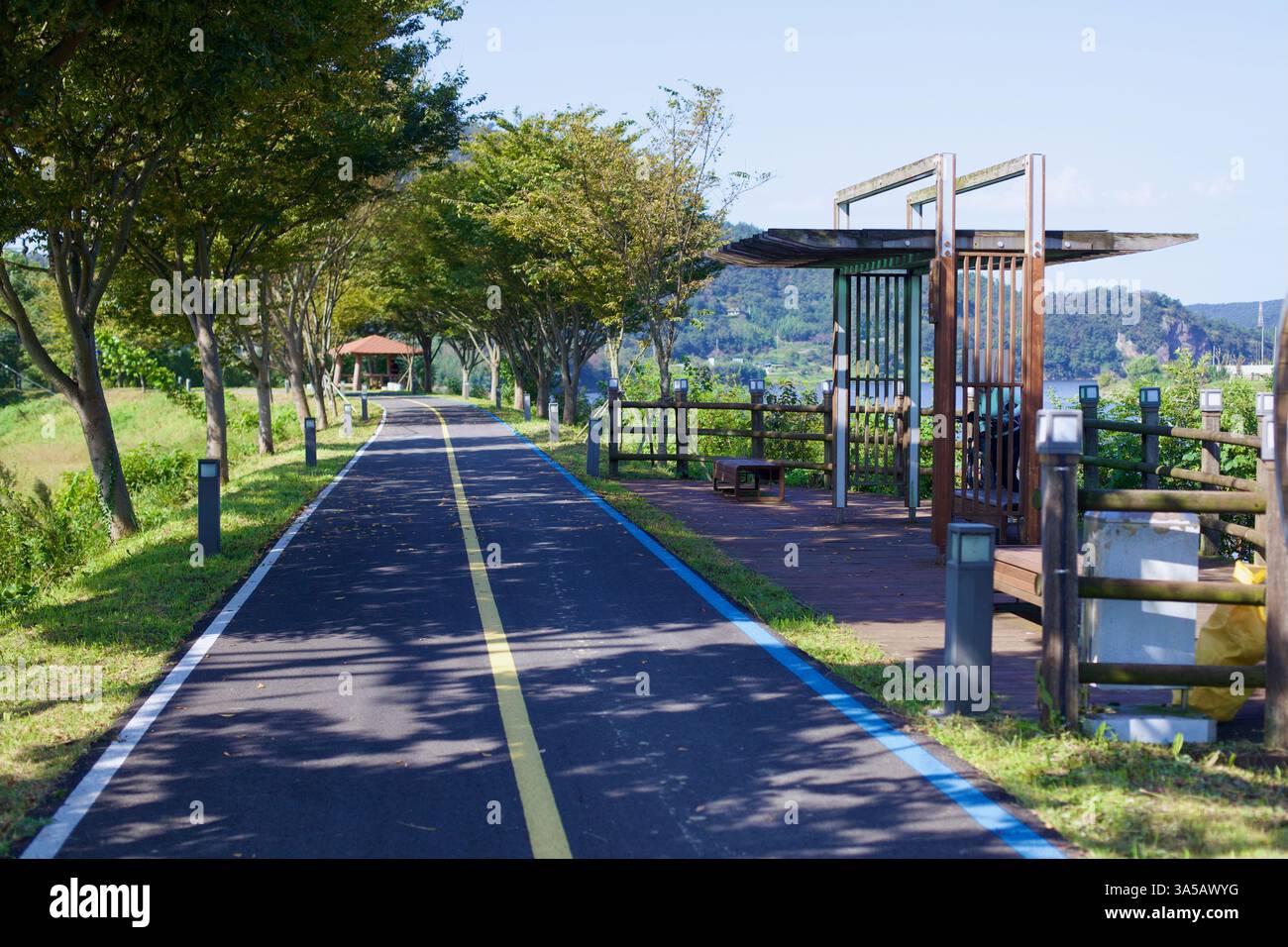 Naju City, South Korea - September 24, 2020: A tree-lined cycling path ...