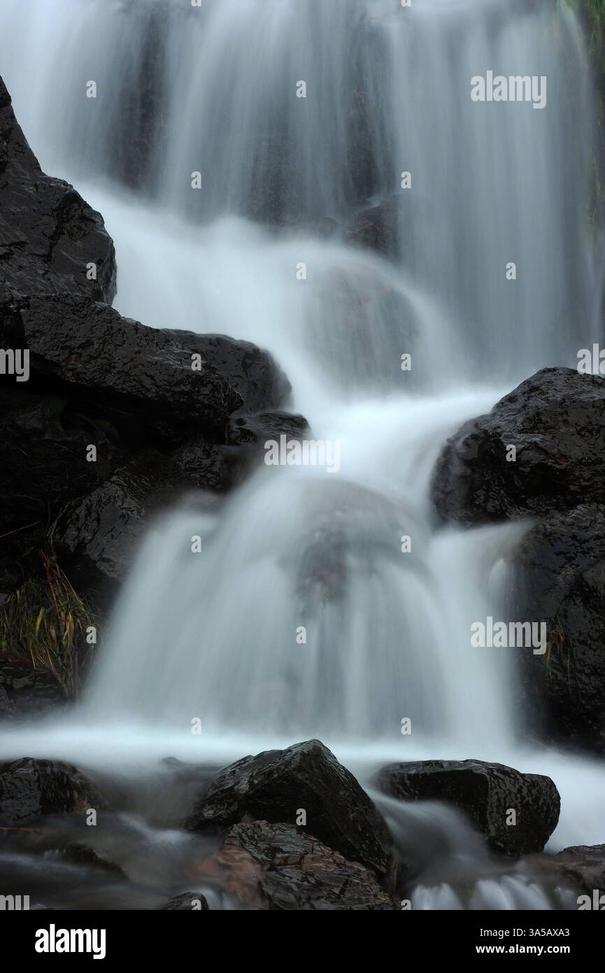 Tributary of the Afon Tarell at the side of the A470 between Storey ...